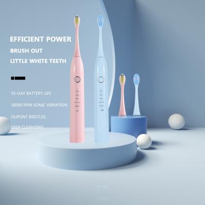 China Automatic Adult Travel Electric Toothbrush IPX7 Waterproof For Home for sale