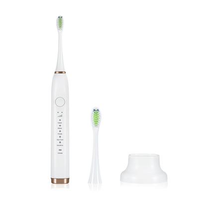 China Intelligent Sonic Electric Toothbrush For Adults IPX8 Waterproof for sale
