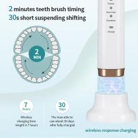 China Intelligent Sonic Electric Toothbrush For Adults IPX8 Waterproof for sale