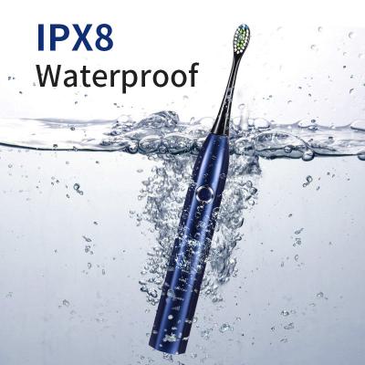 China 1200mAh Rechargeable Battery Toothbrush , Adult Portable Sonic Electric Toothbrush for sale
