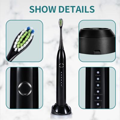 China Black 3.7V Rechargeable Electric Toothbrush Automatic With Sonic Motor for sale