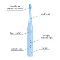 China ODM Automatic Rechargeable Electric Toothbrush Portable For Adult for sale