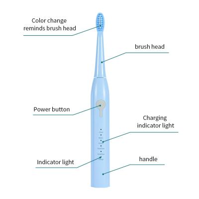 China ODM Automatic Rechargeable Electric Toothbrush Portable For Adult for sale