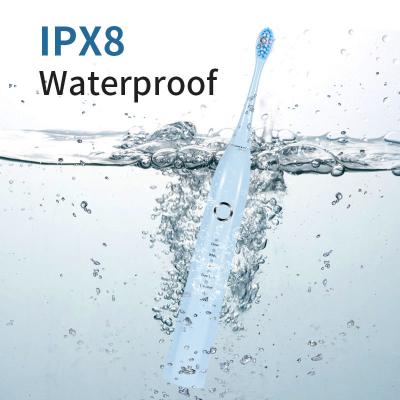 China Blue Sonic Electric Toothbrush IPX7 Waterproof Wireless Charge Sonic Electric Toothbrush for sale