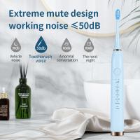China Smart Rechargeable Electric Toothbrush IPX7 Sonic Power 235mm Size for sale