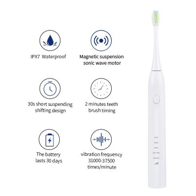 China 14500 Lithium Battery Electric Toothbrush For Travel Multifunctional for sale
