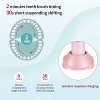 China 15 Modes Rechargeable Electric Toothbrush With 800mAh 14500 Lithium Battery for sale