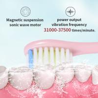 China 15 Modes Electric Portable Battery Toothbrush IPX7 Water Resistant for sale