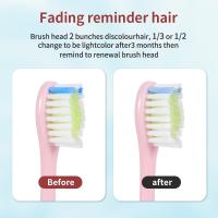 China 15 Modes Electric Portable Battery Toothbrush IPX7 Water Resistant for sale