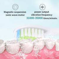 China Multiple Sonic Electric Toothbrush With Charging Stand For Clean Teeth And Healthy Gums for sale