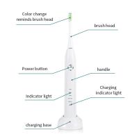 China Automatic White Sonic Electric Toothbrush IPX7 Waterproof For Adult for sale