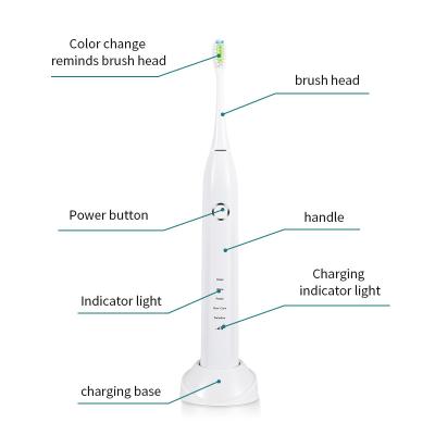 China Automatic White Sonic Electric Toothbrush IPX7 Waterproof For Adult for sale
