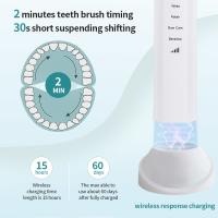 China IPX7 Waterproof Rechargeable Sonic Electric Toothbrush OEM ODM for sale
