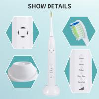 China White Electric Rechargeable Toothbrush , Sonic Electric Toothbrush IPX7 Waterproof for sale
