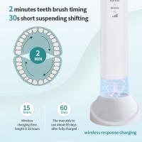 China 1200mAh Rechargeable Electric Toothbrush IPX7 Waterproof Multipurpose for sale