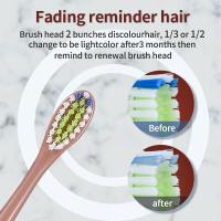 China Low Noise Waterproof Electric Toothbrush Rechargeable With Removable Brush Head for sale