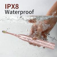 China Low Noise Waterproof Electric Toothbrush Rechargeable With Removable Brush Head for sale