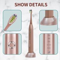 China Low Noise Waterproof Electric Toothbrush Rechargeable With Removable Brush Head for sale