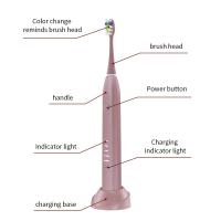 China IPX7 Waterproof Smart Electric Toothbrush Rechargeable With 18650 Lithium Battery for sale