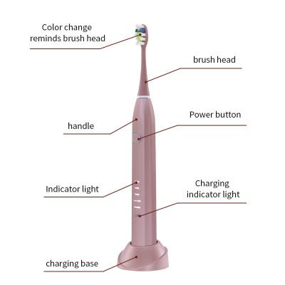 China IPX7 Waterproof Smart Electric Toothbrush Rechargeable With 18650 Lithium Battery for sale