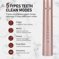 China IPX7 Waterproof Rechargeable Electric Toothbrush With 1200mAh Lithium Battery for sale