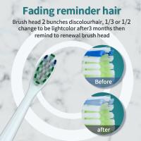 China Electric Smart Sonic Toothbrush , Ipx7 Waterproof Toothbrush Bake Paint Surface for sale