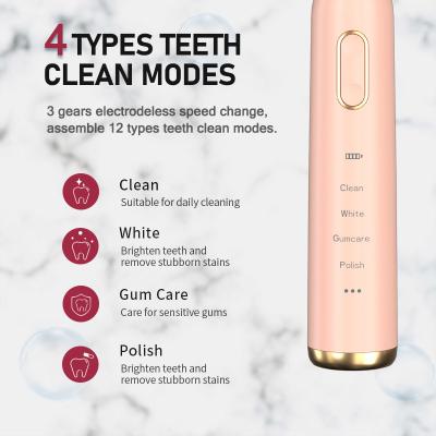 China 1500mAh Travel Sonic Toothbrush Electric Multifunctional With 12 Modes for sale