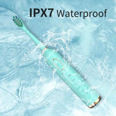 China Rechargeable Travel Power Toothbrush , 1500mAh Green Electric Toothbrush ODM for sale