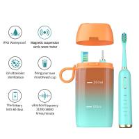 China 1500mAh Sonic Battery Toothbrush 12 Modes With 2 Minutes Timing for sale