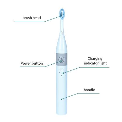 China Automatic Mini Electric Toothbrush , Ipx7 Waterproof Toothbrush 500mAh for sale