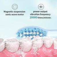 China Removable Rechargeable Toothbrush Low Noise With Timer Varying Battery Life for sale