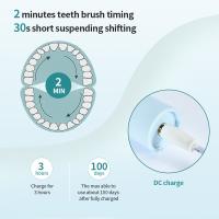 China Automatic Mini Electric Toothbrush , Ipx7 Waterproof Toothbrush 500mAh for sale