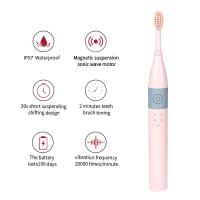 China Smart Clean Sonic Electric Toothbrush DC Wired Charging OEM ODM for sale