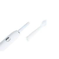 China 230mm Height Children Electric Toothbrush , Smart Two Minute Timer Toothbrush 2.5W for sale