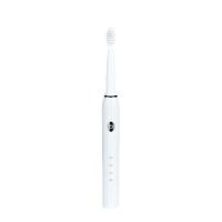 China 3 Modes Smart Rechargeable Electric Toothbrush 500mAh For Household for sale