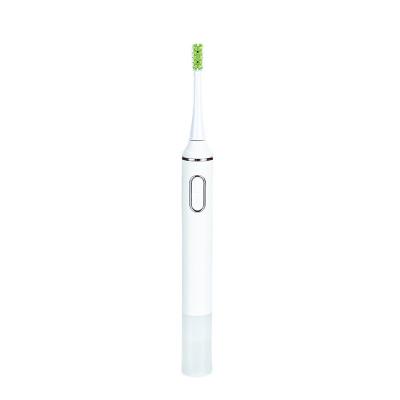 China Intelligent IPX7 White Sonic Toothbrush Automatic With 4 Modes for sale