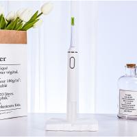 China Smart Electric Sonic White Toothbrush IPX7 Waterproof For Household for sale