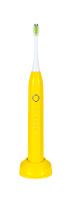 China Adult Sonic Smart Electric Toothbrush Waterproof  With Clean White Polish Modes for sale