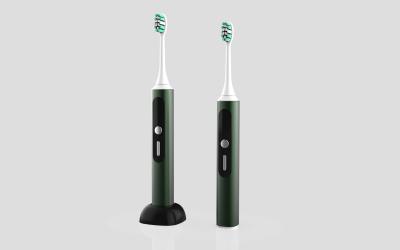 China Ipx8 Waterproof Sonic Battery Powered Toothbrush Mute Design for sale