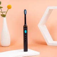 China Rechargeable Electric Toothbrush Low Noise For Home Use for sale