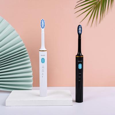China 3 Modes Portable Sonic Auto Toothbrush , Mini Electric Toothbrush IPX7 Waterproof for sale