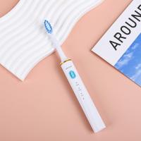 China Kids USB Charging Travel Rechargeable Electric Toothbrush With 2 Minutes Timer for sale
