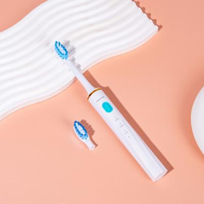 China Electric Sonic White Toothbrush , 3 Modes Ipx7 Waterproof Toothbrush For Adult for sale