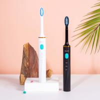 China 210mm White Electric Toothbrush , 3 Modes Automatic Toothbrush For Adults And Kids for sale