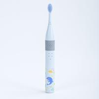 China Rechargeable Travel Electric Toothbrush USB Charging With IPX7 And 500mAH Battery for sale