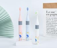China Rechargeable Travel Electric Toothbrush USB Charging With IPX7 And 500mAH Battery for sale