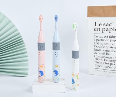 China Rechargeable Travel Electric Toothbrush USB Charging With IPX7 And 500mAH Battery for sale