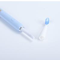 China Electric Rechargeable Toothbrush 1000 Pcs With Timer For Oral Care for sale