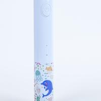 China Electric Rechargeable Toothbrush 1000 Pcs With Timer For Oral Care for sale