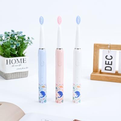 China Electric Rechargeable Toothbrush 1000 Pcs With Timer For Oral Care for sale
